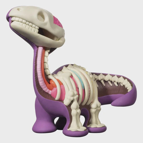Elbo 6" Vinyl Toy - Dissected Bronto (Edition of 250) – POP SHOP & GALLERY